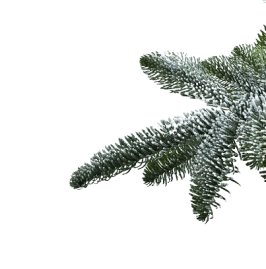 Adventure Park Geelong