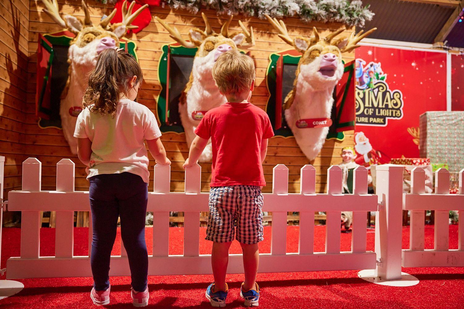 Adventure Park Geelong